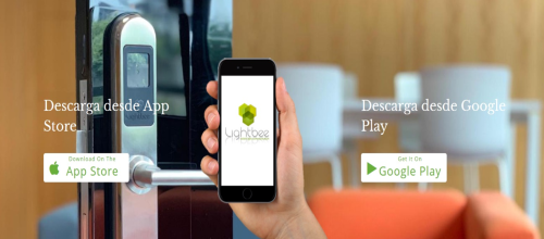 LightKey - Lightbee